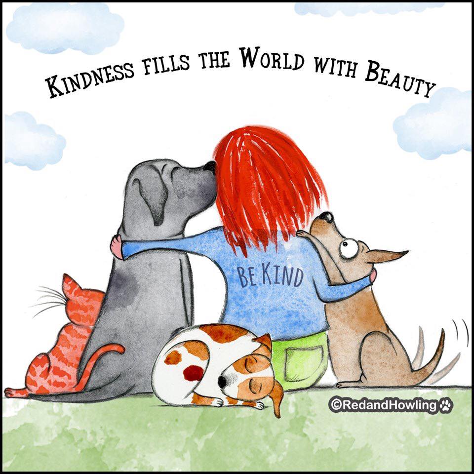 Bondia, bon siman.... – CARF Curaçao